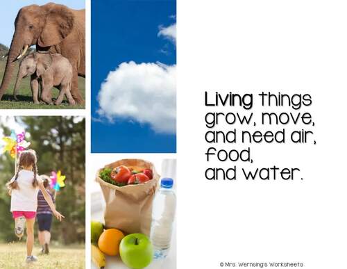 LIVING & NONLIVING Read-Aloud Lesson & Activities BUNDLE - KINDERGARTEN ...