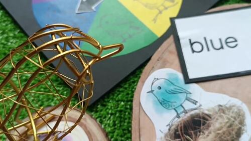 Preschool Birds Theme, PREK Colors , Spring Nest, Kindergarten Nature Play