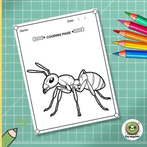 [K-3] Ant Body Parts Labeling Diagram Worksheets | Insect Unit Science ...