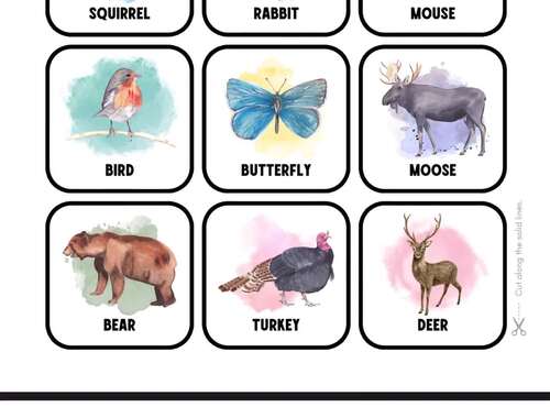 Forest Animal Memory Game, Matching Activity, Visual Discernment Activities