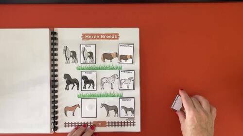 Horses Interactive Activity Book, Vocabulary Matching, Tracing & Writing