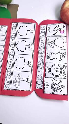 Apple Activities | Fall Science Experiments | Investigations & Apple ...