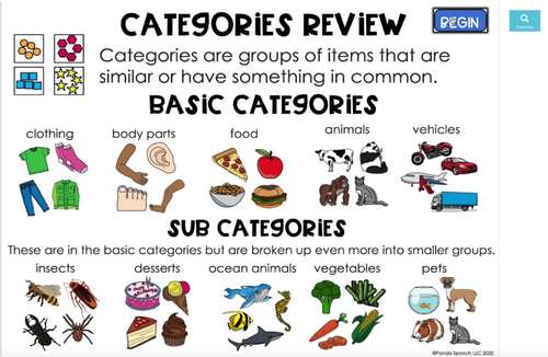 Name the Category & More Cards with Real Photos for Speech Therapy