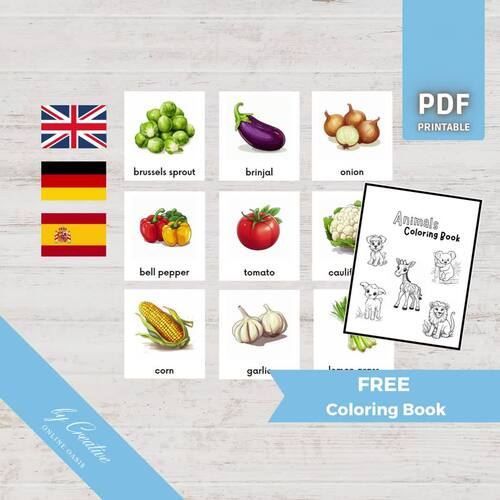VEGETABLES • 30 Montessori Flashcards • Language Image Card German ...