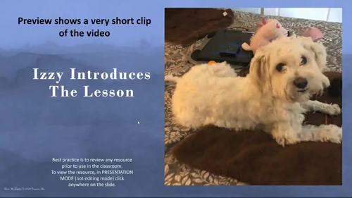 DIVERSITY TOLERANCE ACCEPTANCE WW Fashion Look Like Included All SEL ...