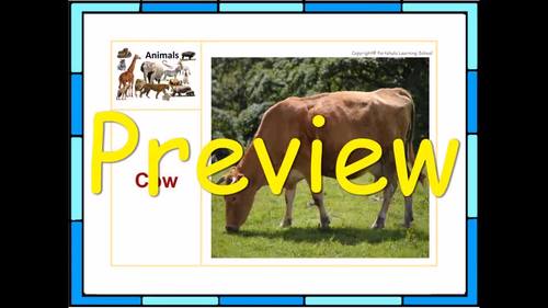 Animals – Image Slides, Activity slides, all real images. GOOGLE SLIDES