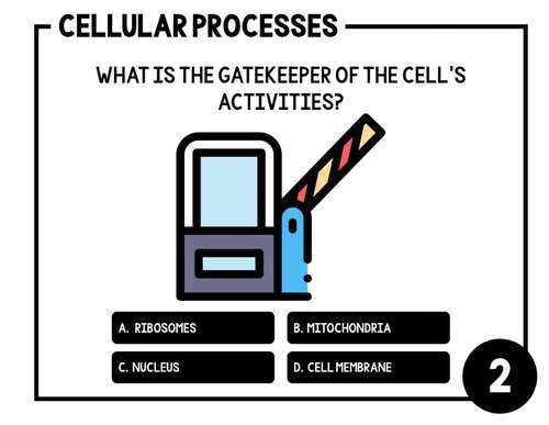 Cell Processes Digital Task Cards Activity | Science Boom Cards™