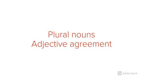 FRENCH - Plural nouns - Adjective and gender agreement Review Exercises
