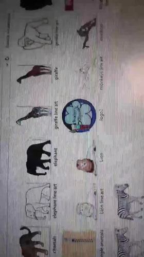 Jungle animals Clip Art (mammals) {Science clipart} by Teacher's Clipart