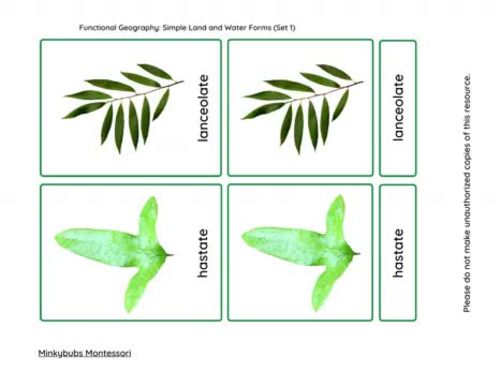 Montessori Botany Leaf Cabinet 3-Part Photo Cards Booklets and Templates