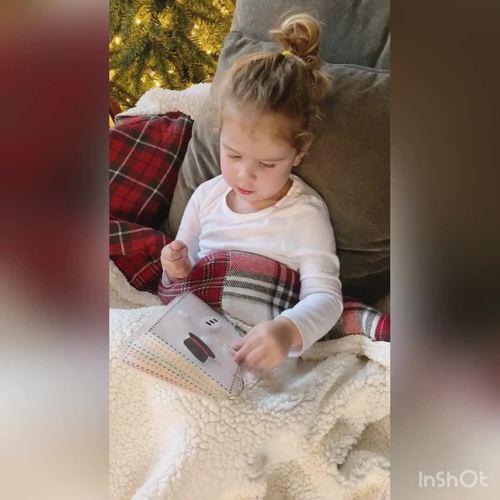 Christmas Printable Toddler Busy Book, Mini Learning Book, Quiet Binder ...