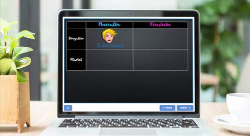 L'accord de l'adjectif A1 Leçon + évaluation autocorrective (Distance ...