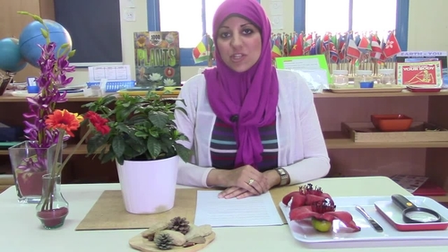 Montessori Science Area Introduction Part 2 by Montessori Tube | TPT