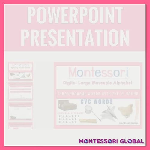 Montessori Pink Series: Montessori Moveable Alphabet - CVC Words with ...