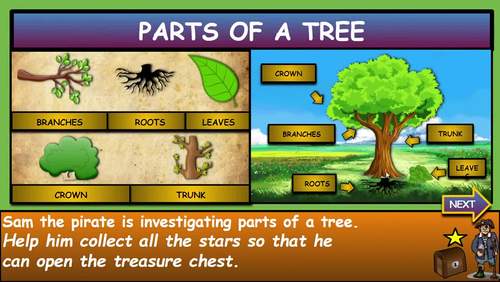 Parts Of A Tree Unit Bundle: Presentation | Drag and Drop | Puzzles ...