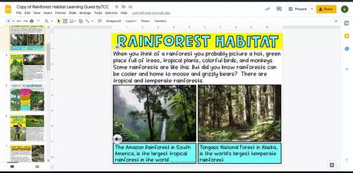 Rainforest Animal Habitat, Layers of the Rainforest, Amazon Rainforest ...