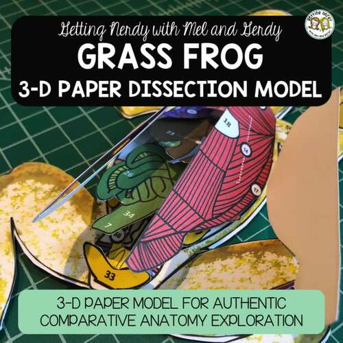 Frog Dissection Zoology | Biology 3-D Anatomy Paper Dissection Model ...