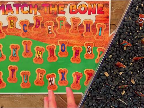 Alphabet Sensory Bin Hands On Letter Recognition & Matching PreK Literacy