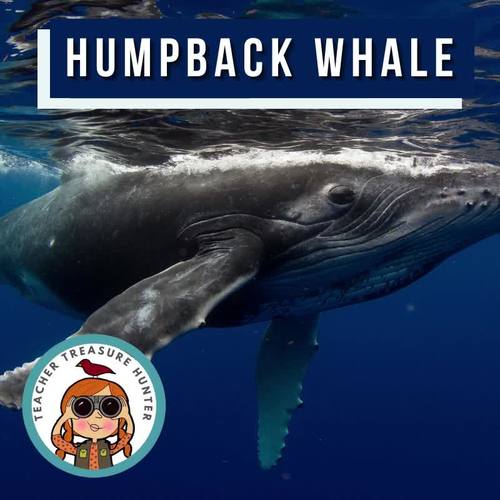 Ocean Animals Report HUMPBACK WHALE informational article first grade ...