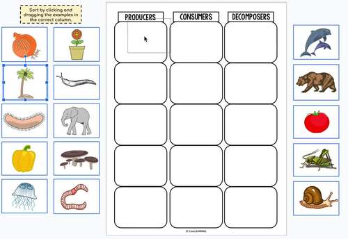 Producers, Consumers, and Decomposers Sort Activity and Reading Passage
