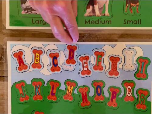 Dog Busy Book PreK Skills Dog Activity Preschool Skills Numbers ...