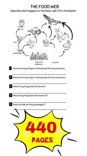 Welcome Back to School 3rd Grade Science Worksheets and Crossword Puzzles