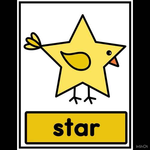 2D Shapes Classroom Posters & Practice Cards | Bird Theme by The ...