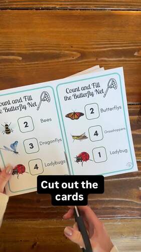 Count and Fill the Butterfly Net Bug Sensory and Math Activity Cards