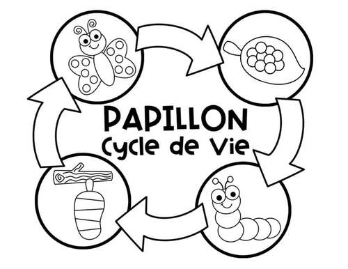 FRENCH Butterfly Mini-Unit BUNDLE | Les Papillons | Science Learning BUNDLE