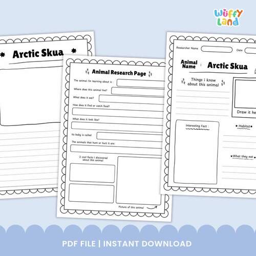 Arctic Skua Animal Research Project | Arctic Animals Science Report ...