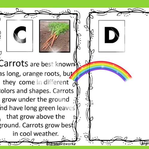 Robby Rabbit's Garden - A Plant Unit by 1stgradefireworks | TPT
