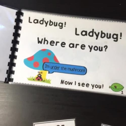 Ladybug Where Are You? Under/Over 1-10 Spring Vocabulary Autism Speech ...