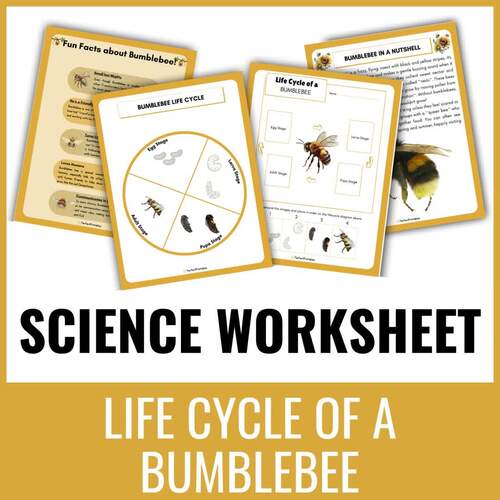 Life Cycle of a Bumblebee Worksheet - Insect Science Unit Study With ...