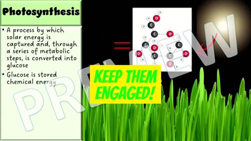Photosynthesis Lesson Bundle (PowerPoint, FREE Guided Notes ...