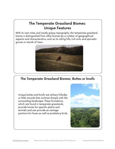 Temperate Biome Grasslands Fast Facts Biome Unit Study by Minkybubs ...