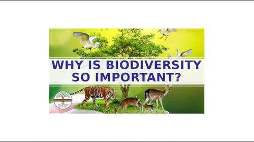 The Importance of Biodiversity | Video Lesson, Handout, Worksheet ...