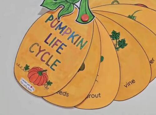 Pumpkin Life Cycle Coloring, Build a Pumpkin, Pumpkin Poster, Fall ...