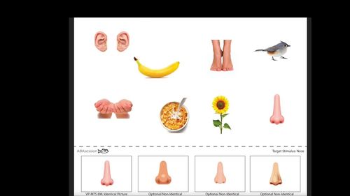(VP-MTS 8M) Identical Matching Pre-set Arrays: Part 2 by ABAsession