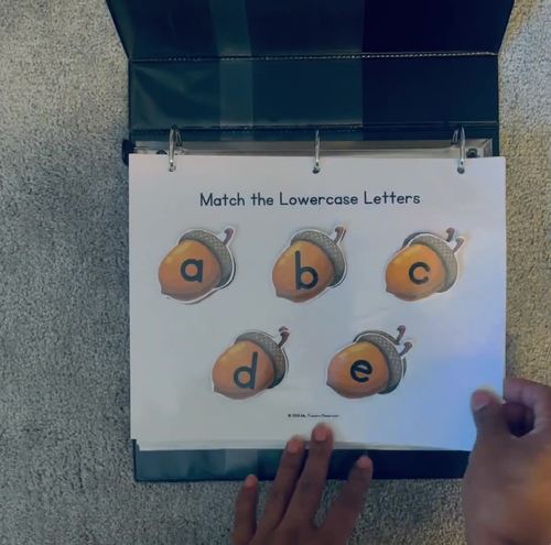 Toddler - Preschool FALL Interactive Binder (Fall Busy Binder) | TPT