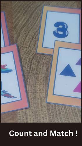 Counting Flashcards, Numeral and Quantity Matching by Crayons N Clips