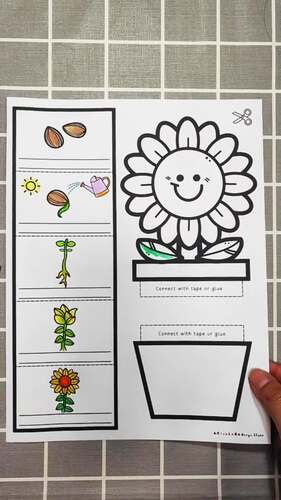 Sunflower Life Cycle Science Craft | Plant Flip Name Craft Activity ...