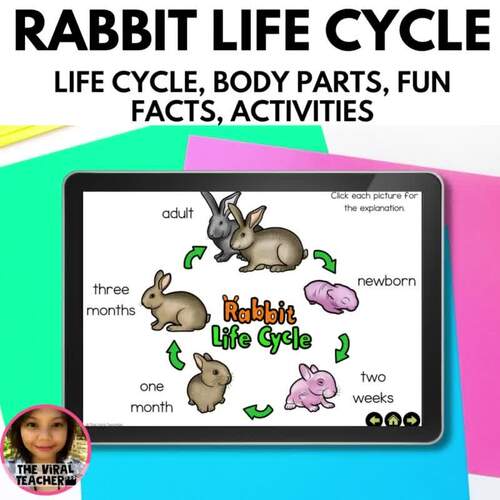 Rabbit Life Cycle and Body Parts | Animal Life Cycles Activities Boom Cards