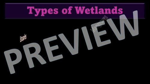 AP Environmental Science Human Impact on Wetlands and Mangroves Lesson ...