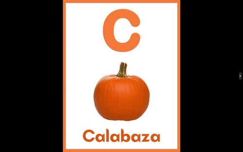 Spanish Alphabet letters Flashcard with real photos for Preschool ...