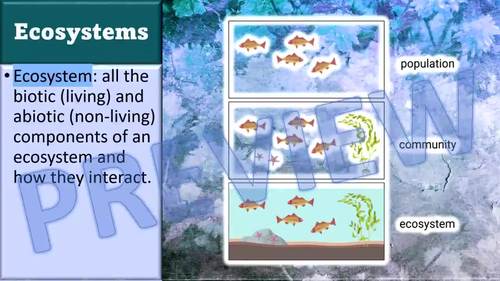 AP Environmental Science Introduction to Ecosystems Interactive PowerPoint