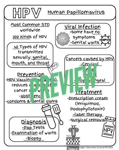HPV Human Papillomavirus Doodle Notes | Health | FACS by Secondary ...