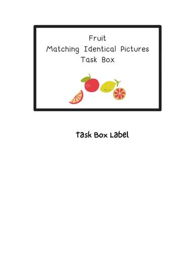 FRUIT Matching Identical Pictures Task Box by Pre-K Life | TPT
