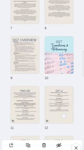 Student Study Team SST | MTSS | Intervention Master Lists & Full Breakdown