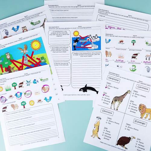 Interdependence Worksheets (Food Chains & Food Webs) Print and Digital