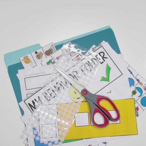 Behavior Support Folder for Autism and Special Education | TPT